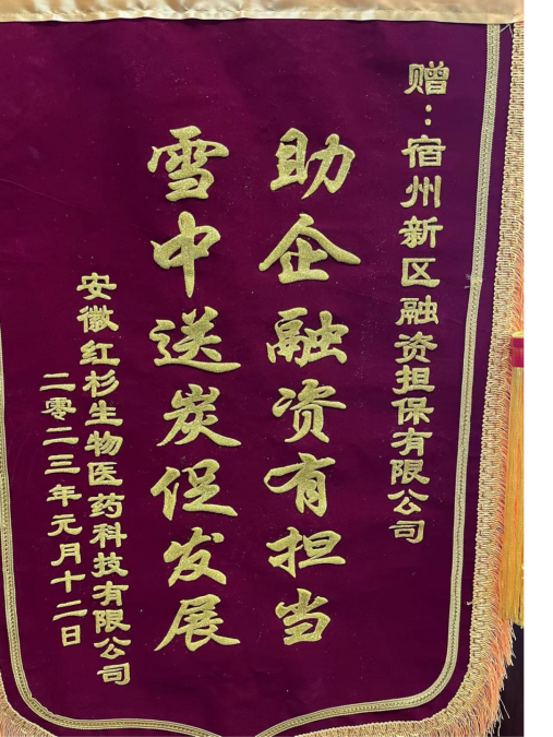 助企纾困稳经济 雪中送炭促发展_安徽宿州经济开发区